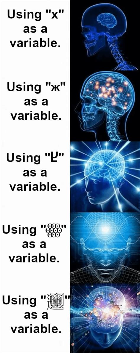 Me Using ﷽ As A Variable R Linguisticshumor