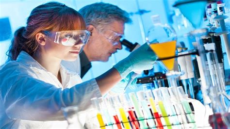 40 Clep Online Courses For 2026 Explore Free Courses And Certifications Class Central