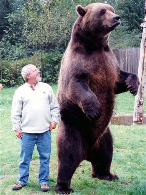 People Facing Huge Animals Up Close Klykercom