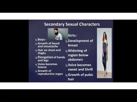 Secondary Sexual Characters Menstrual Cycle Youtube