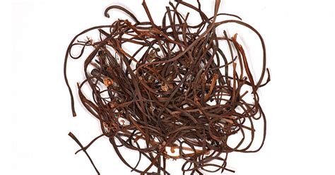 1 Easy Dried Bracken Recipes