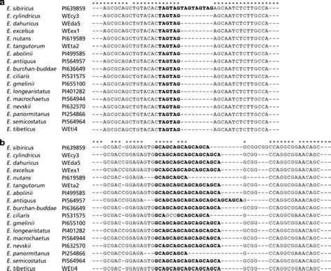 Alignment Of Sequences Obtained From Selected Pcr Bands Amplified By