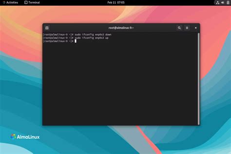 How To Manage Network Interfaces On Almalinux 9 Devtutorial