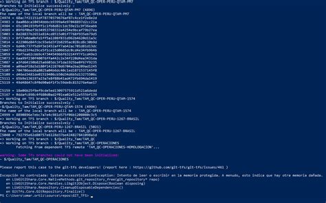 [v0 19] reporting a case where a branch couldn t have been initialized