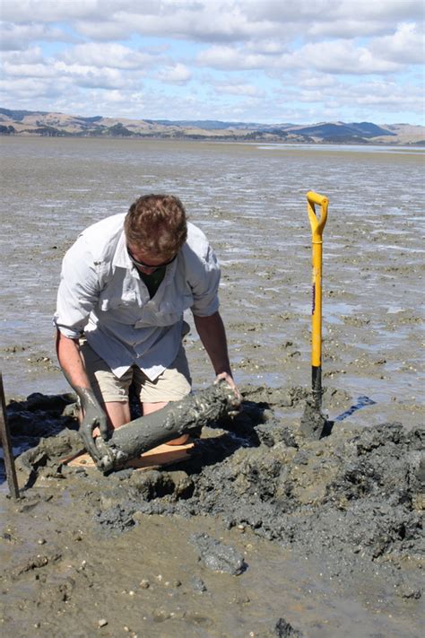 Andrew Swales Takes A Core Sample — Science Learning Hub