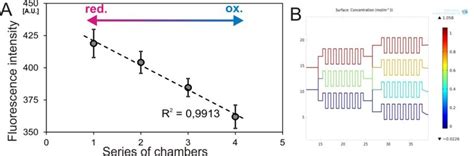 A Verification Of The Detection System 1 St Series Of Microchambers