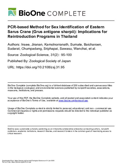 Pdf Pcr Based Method For Sex Identification Of Eastern Sarus Crane Grus Antigone Sharpii