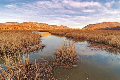 New Yorks Hudson River Beckons For December Duck Hunters Looking For