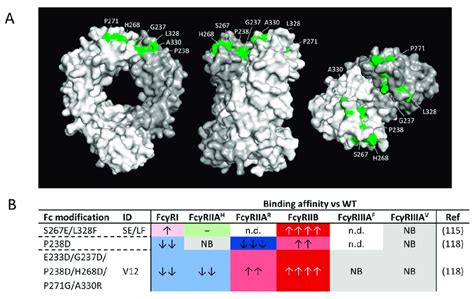Fc Modifications Which Enhance Binding To Fcγriib A Previously Download Scientific Diagram