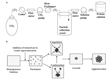 A Schematic Setup Of Supercritical Antisolvent Precipitation For