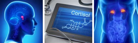 Hypofys Och Binjuresjukdomar