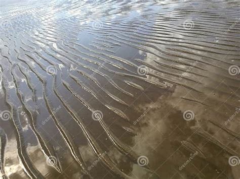 Cloud Reflection In Seabed In The Form Of Wavy Ridges Stock Image