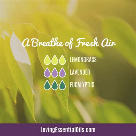 Essential Oil Diffuser Blends Artofit