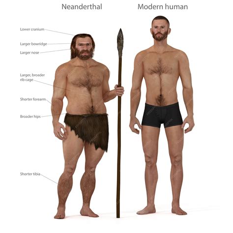 Premium Photo Neanderthal Vs Modern Human