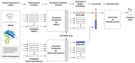 Fine Tuning Of Bert Model To Accurately Predict Drugtarget