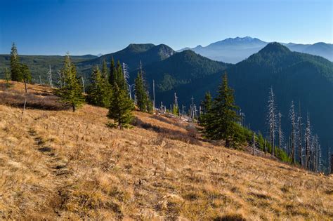 Big Bunchgrass Ridge Hike Oregon