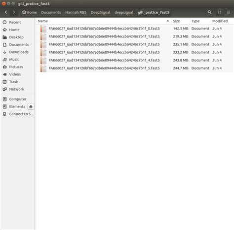 How To Get My Files To Basecall · Issue 12 · Bioinfomaticscsudeepsignal · Github