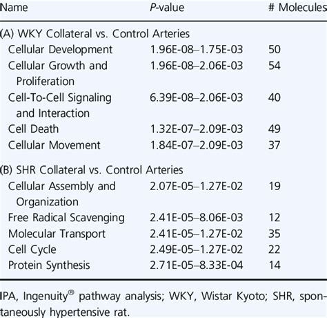Ipa Highest Ranked Molecular And Cellular Functions Download Table