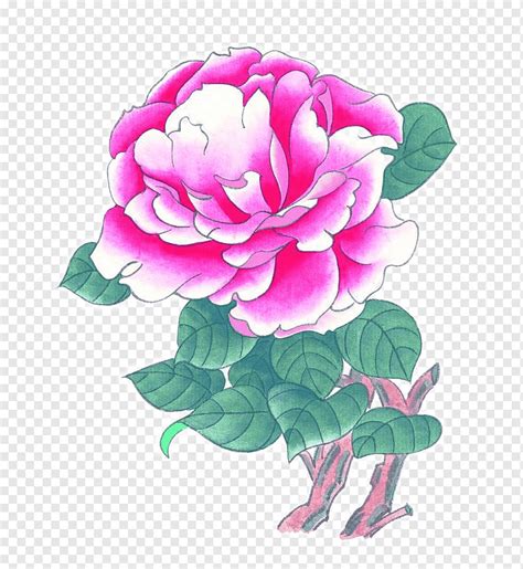 중국어 회화 공비 수채화 그림 무탄 모란 모란 그림 꽃꽂이 손으로 그리는 꽃 인공 꽃 Png Pngwing