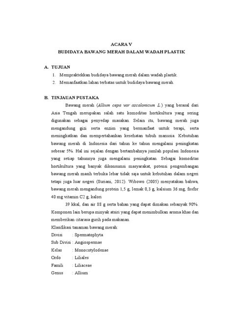 Marchell David Rismawan 134210146 Kel L Dtbt Budidaya Bawang