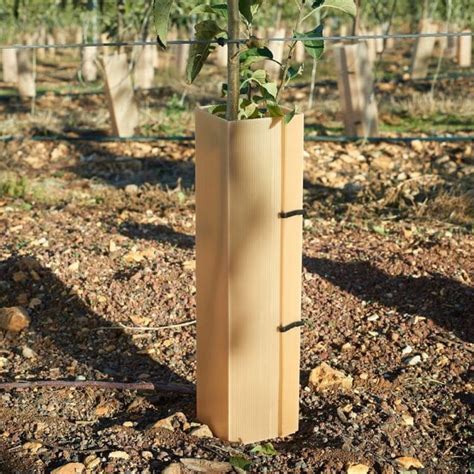 Plant Protector 40 Cm Paskal Group