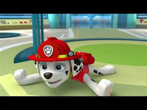 Щенячий Патруль Мега Маршал PAW Patrol 🐾🐾🐾🐾 Новая Гонка - YouTube