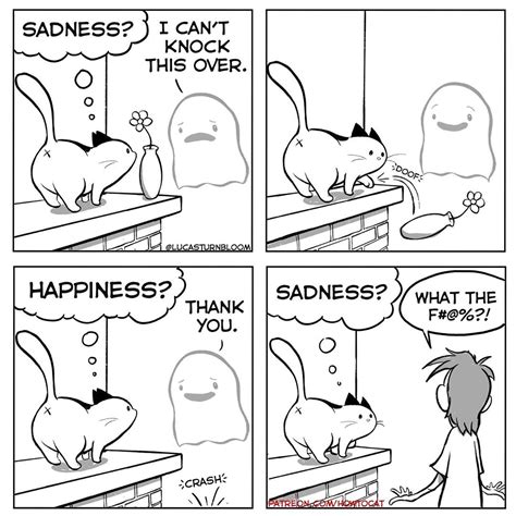 Why Do Cats Knock Over Things Album On Imgur