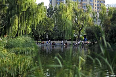 太原龙潭公园栖凤湖改造 北京原筑景观规划设计有限公司 公园案例 筑龙园林景观论坛