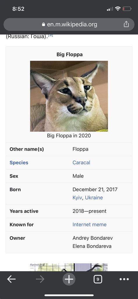 Borthday R Bigfloppa