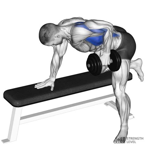Dumbbell Row How To Strength Level