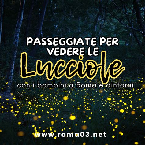 Dove Vedere Le Lucciole A Roma E Nel Lazio Con I Bambini Roma 03