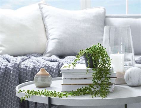 Trailing Greenery In Pot Bed Bath N Table