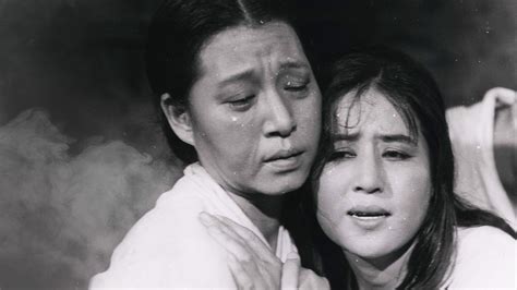 Evergreen Tree Movie 1961