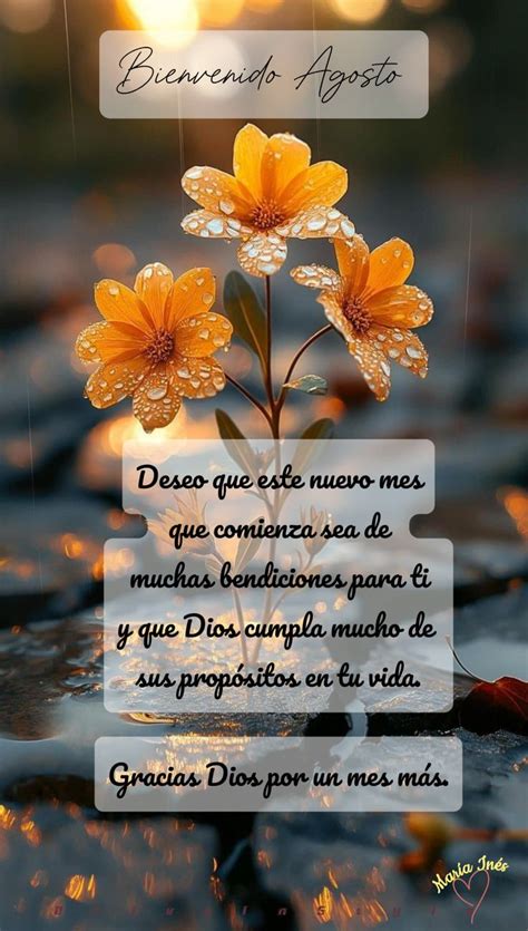 Bienvenido Agosto Bienvenido Agosto Bellas Imágenes De Buenos Días