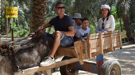 A Day At Al Hasawi Rose Farm Al Ahsa Tickets Best Offers And Prices