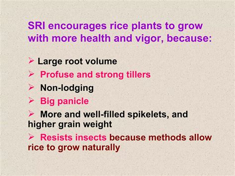 0430 System Of Rice Intensification Sri Ppt
