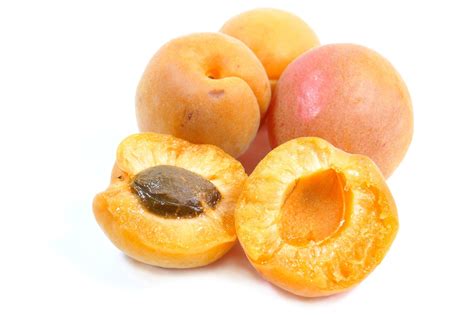 20 000 Free Apricot Fruit And Apricot Images Pixabay