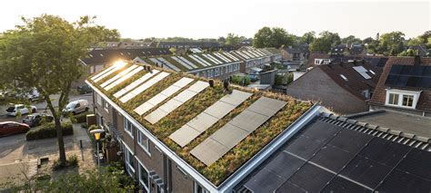 Dakrenovatie Met Roef