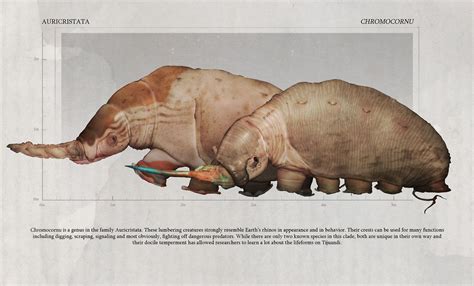 Speculative Evolution Creature Concept Art Fantasy Creatures Art