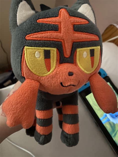 My Litten Plush And Vaporeon Rpokemonplushies