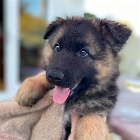 Baker Commodities Inc Home Facebook