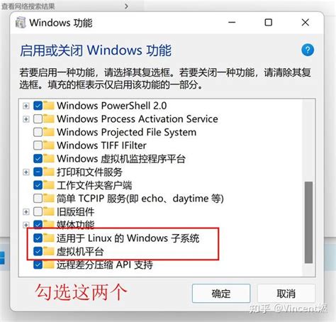 Windows Wslubuntu 双系统安装 Vscode 里 Wsl终端美化 知乎