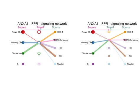 Chapter CellChat Single Cell Sequencing Analysis