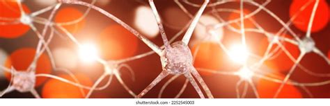 뉴런 뉴런은 신호 신경 노드 신경망 스톡 일러스트 2252545003 Shutterstock