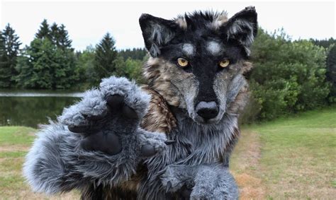 Moondancer Moondancer Added A New Photo