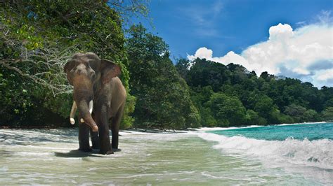 Andaman Islands Archipelago Rough Guides