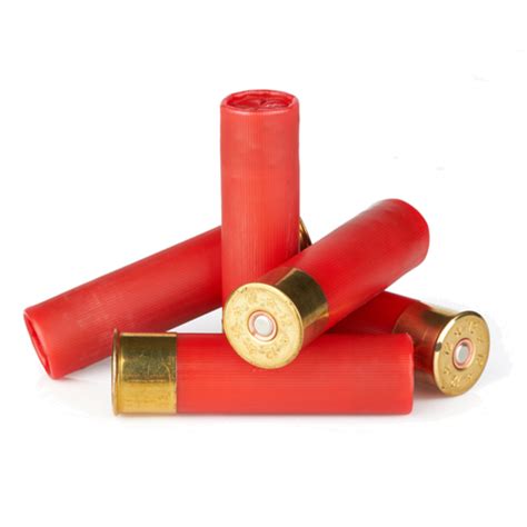 What Are Shotshells First Time Gun Buyer Explains