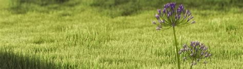 Using Sharp Edges In Blender Blendernation