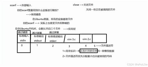 Linuxc语言开发 2024820 Csdn博客