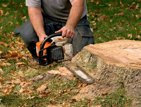 The Ultimate Guide To Measuring Your Chainsaw Bar Length